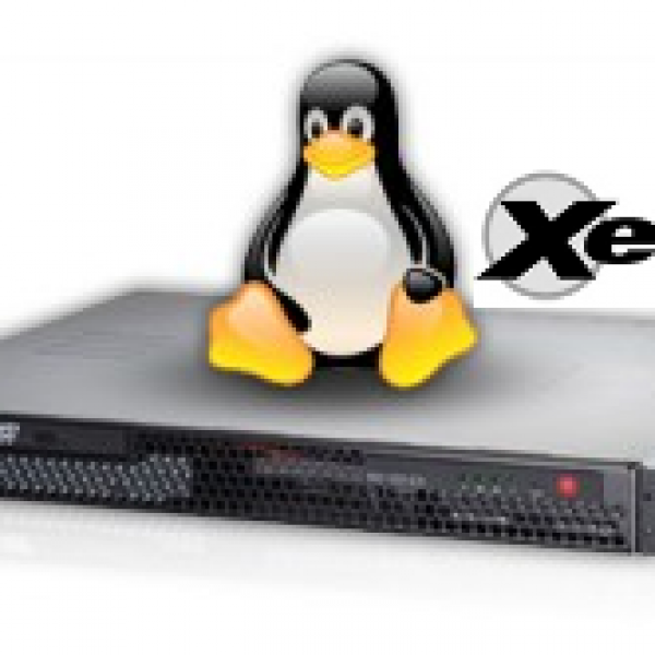 xen-linux-vps – webhotelli.com